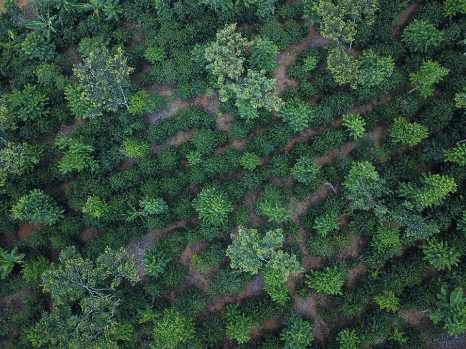 Calcalí Coffee: el lugar ideal para degustar exquisito café