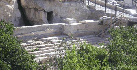 OIP-1 - Ritmo Social