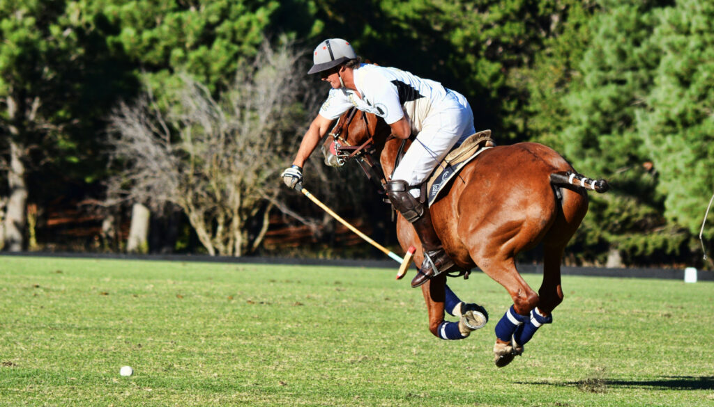 El Polo, Un deporte cargado de historia, sofisticación y elegancia - Ritmo